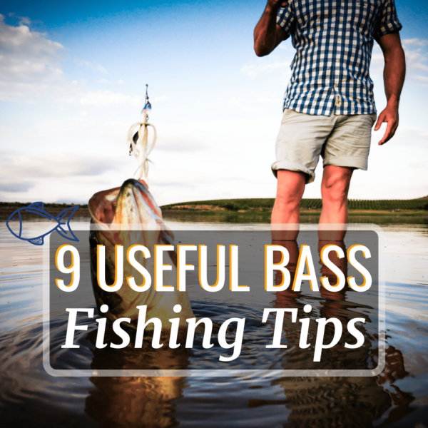 9 Bass Fishing Tips: How To Catch Bass In Any Condition