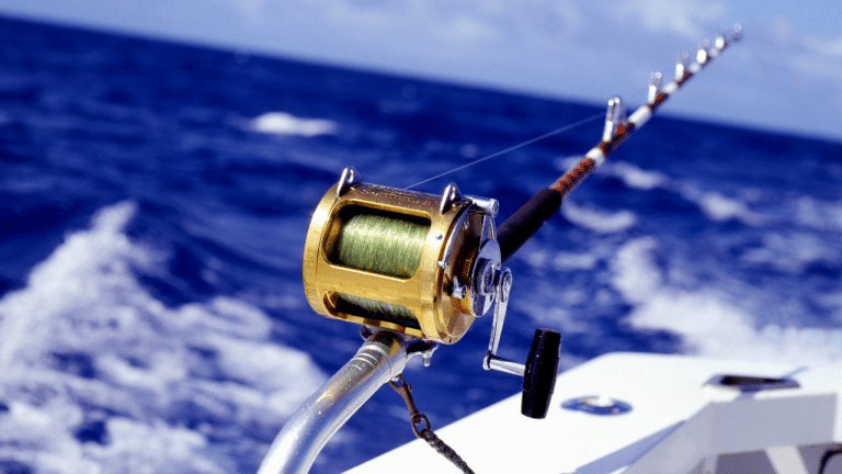 Fishing Gear List: 8 Basic Items You Always Need