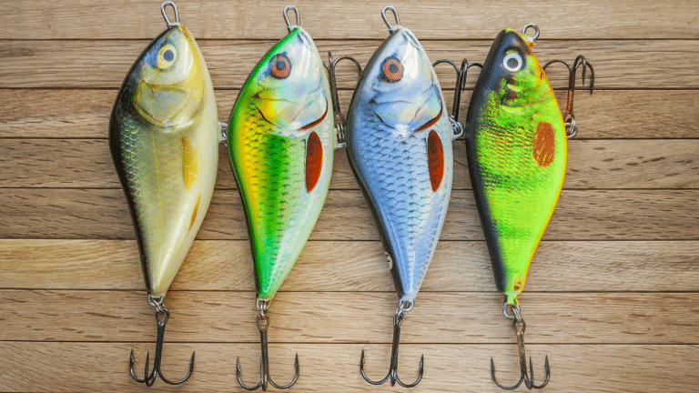 Fishing Gear List: 8 Basic Items You Always Need