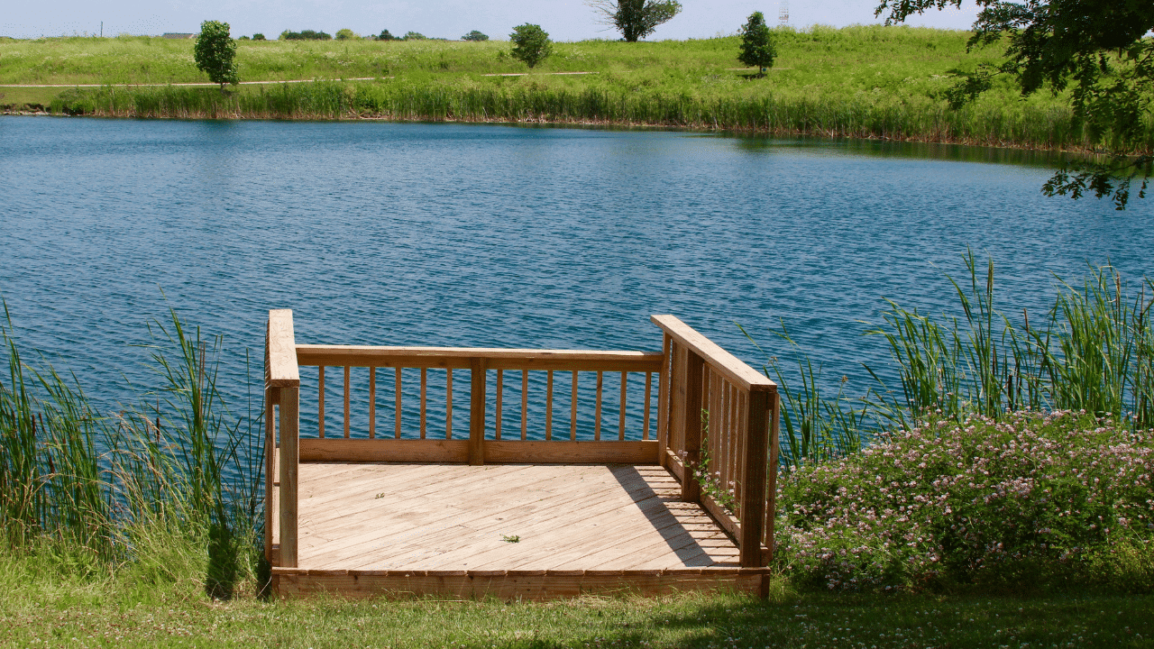 Fishing Basics - Everything A Beginner Should Know About Fishing