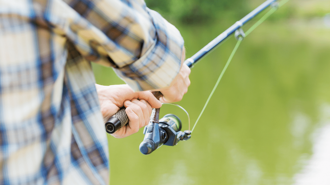 Fishing Basics - Everything A Beginner Should Know About Fishing