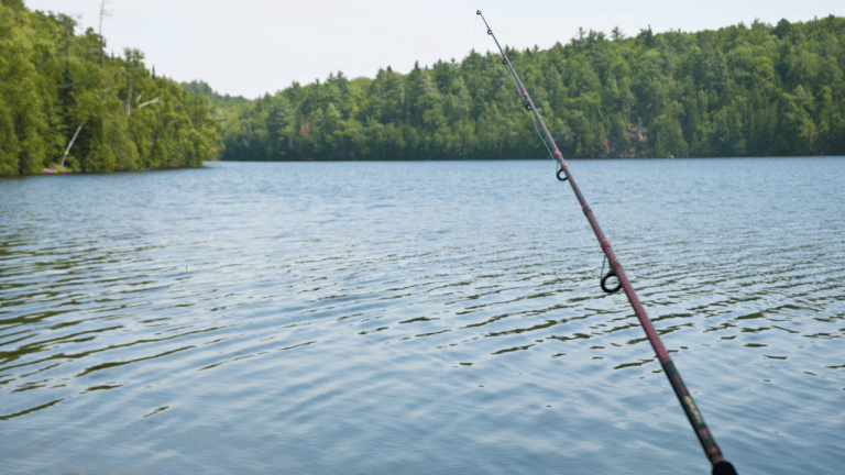 Top 7 Best Walleye Rods For 2022 [Expert Buying Guide]