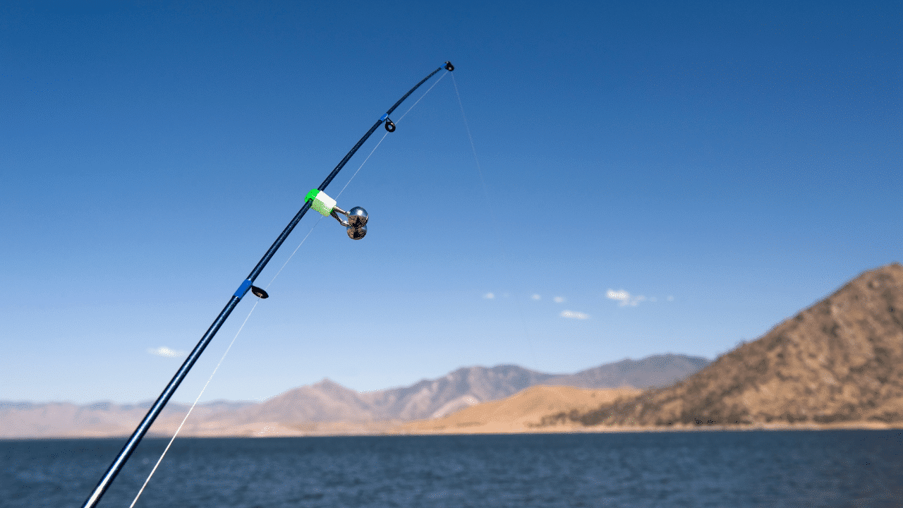 7 Best Musky Rods For Any Budget, Skill Level And Preference