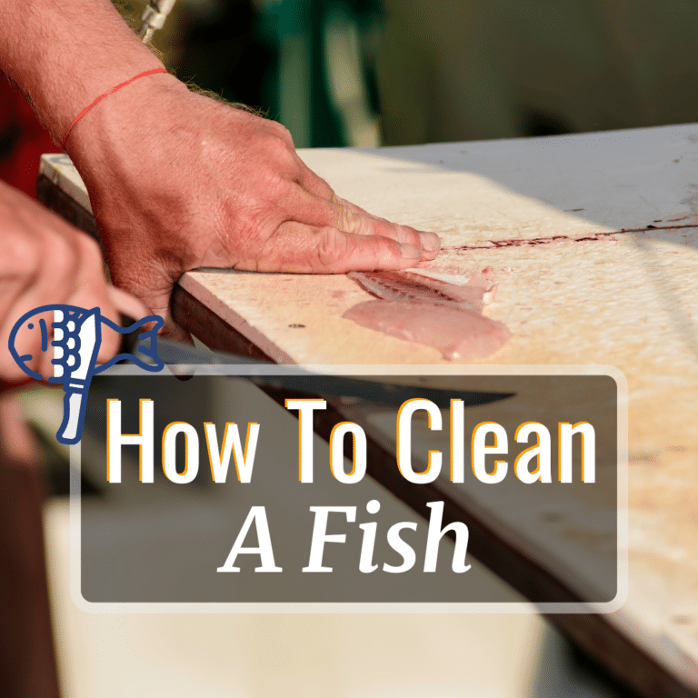 How To Clean A Fish To Cook Safely