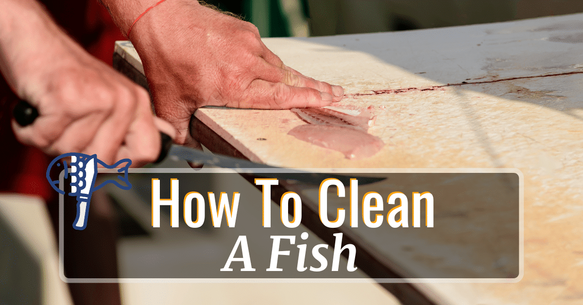 How To Clean A Fish To Cook Safely