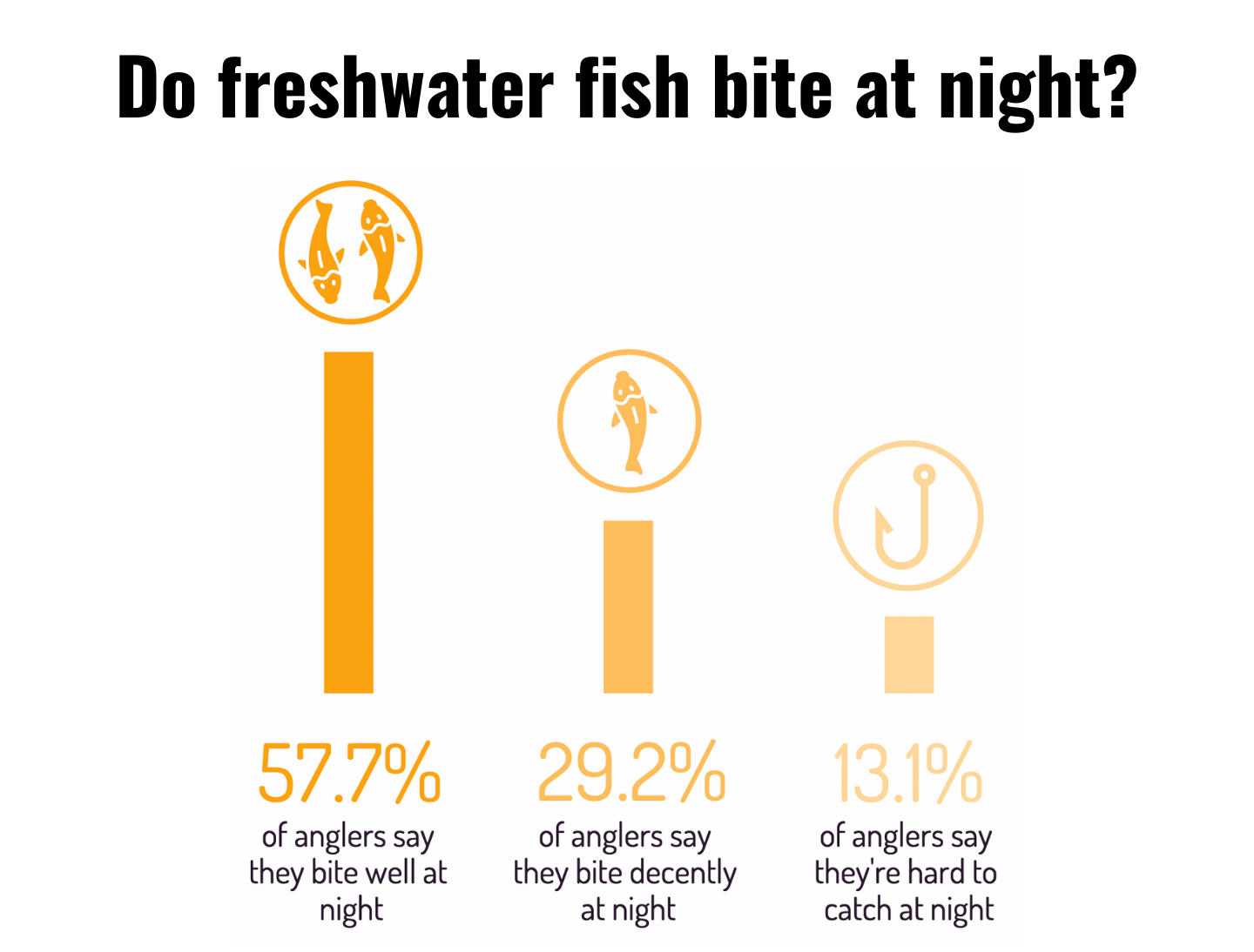 Best Time Of Day To Fish: A Survey From 513 Anglers